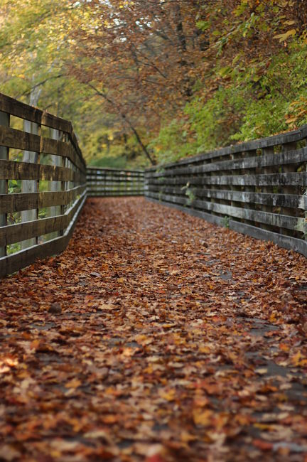 How Glorious – Intentional Catholic